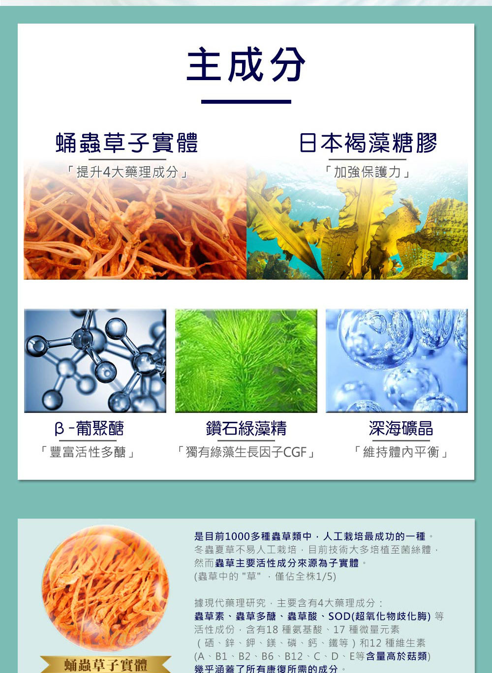 褐藻糖膠升級版